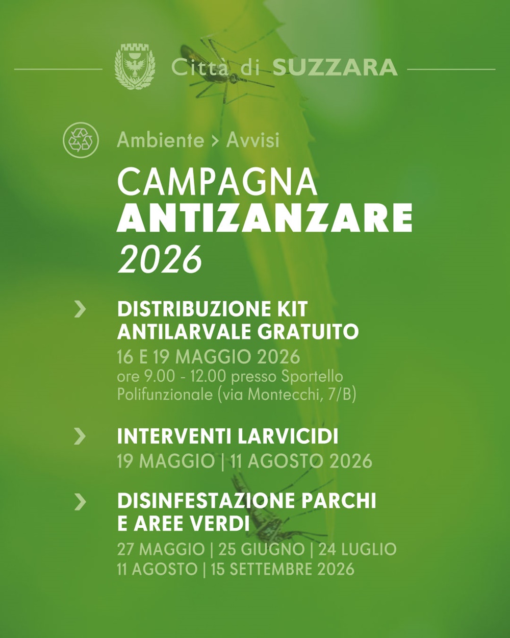 Suzzara Città | Suzzaraweek